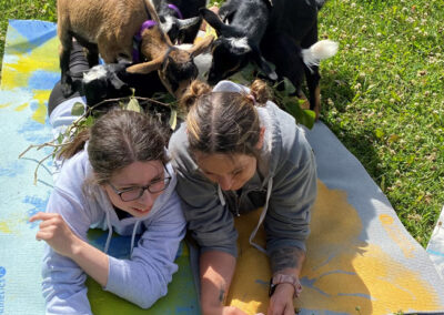 Services - Elevated Experience Camping