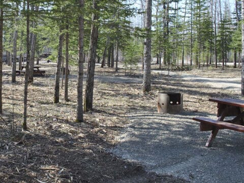 Services - Elevated Experience Camping